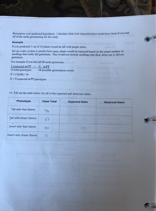 I need help with question 14, I’m not sure how to do | Chegg.com