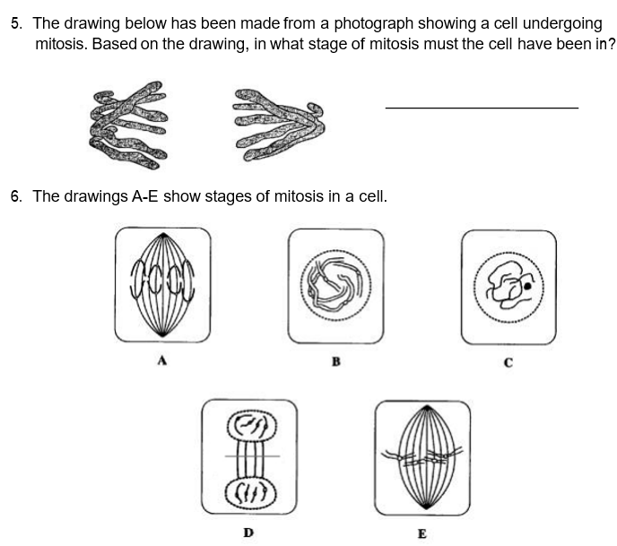 Solved 1. Label the following diagram with the phase of | Chegg.com