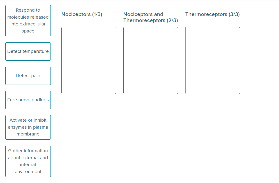 Solved Categorize each statement based on whether it | Chegg.com