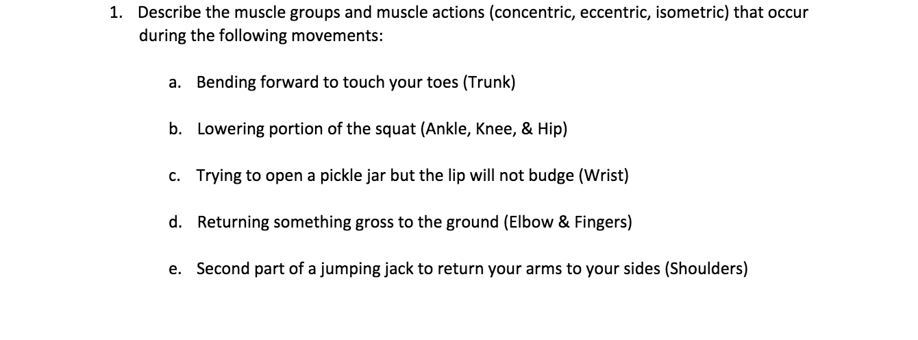 Solved Describe the muscle groups and muscle actions | Chegg.com