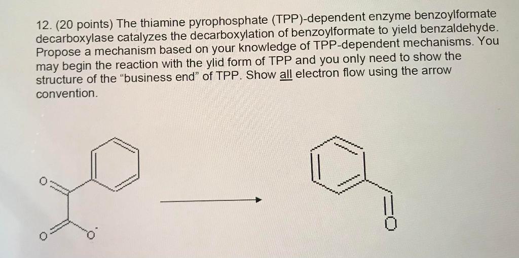 Solved 12. (20 points) The thiamine pyrophosphate | Chegg.com