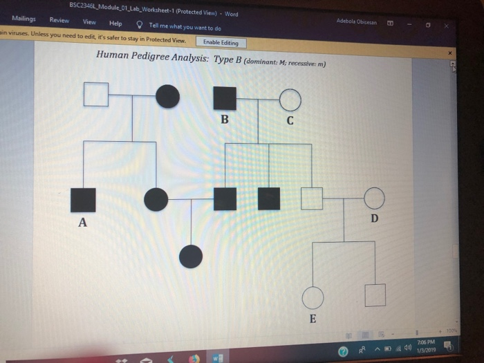 Solved BSC2346L Module 01 Lab Worksheet-1 (Protected View) - | Chegg.com