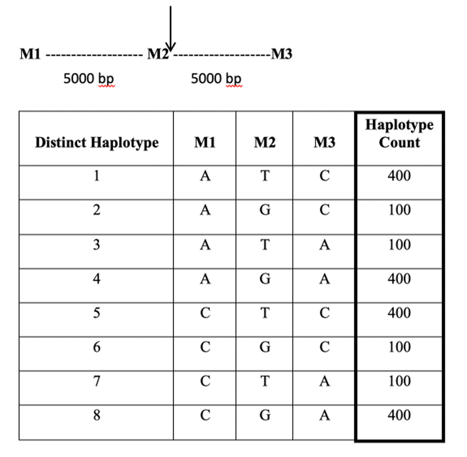 Solved The following table shows 8 distinct haplotypes at 3 | Chegg.com