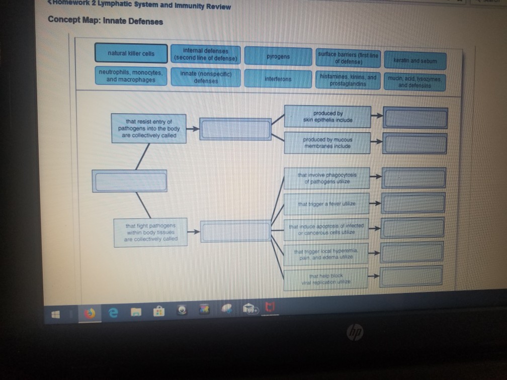 Solved Homework 2 Lymphatic System and Immunity Review | Chegg.com