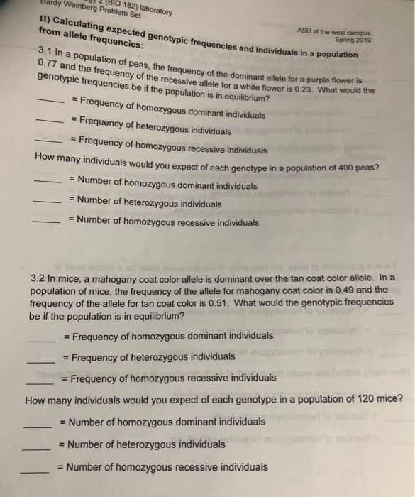 Solved Hardy Weinberg Problem Set 11) Calculating expected | Chegg.com