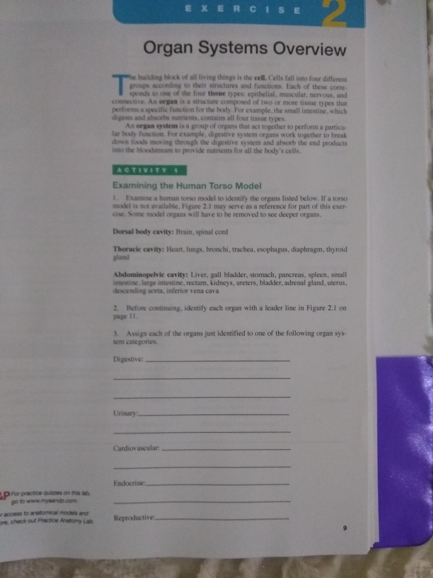Solved EXERCISE Organ Systems Overview building Hock of all | Chegg.com