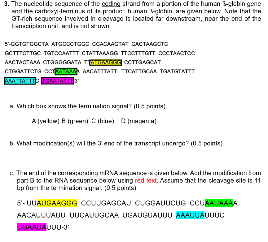 Solved 3. The nucleotide sequence of the coding strand from | Chegg.com