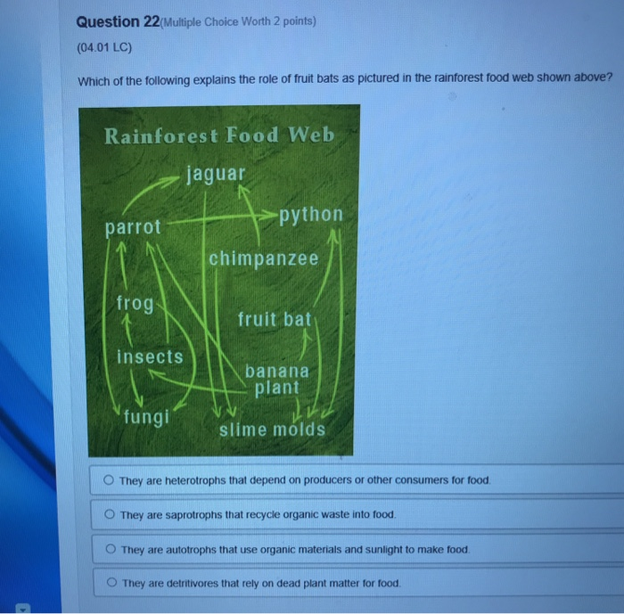 Solved Question 22(Multiple Choice Worth 2 points) (04.01 | Chegg.com