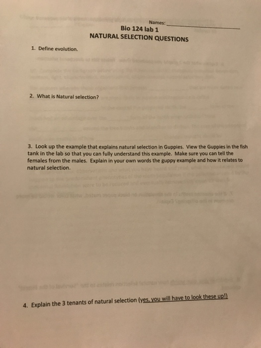 Names: Bio 124 lab 1 NATURAL SELECTION QUESTIONS 1. | Chegg.com