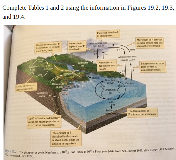 Complete Tables 1 and 2 using the information in | Chegg.com