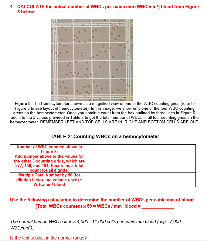 Solved 4. CALCULATE the actual number of WBCs per cubic mm | Chegg.com