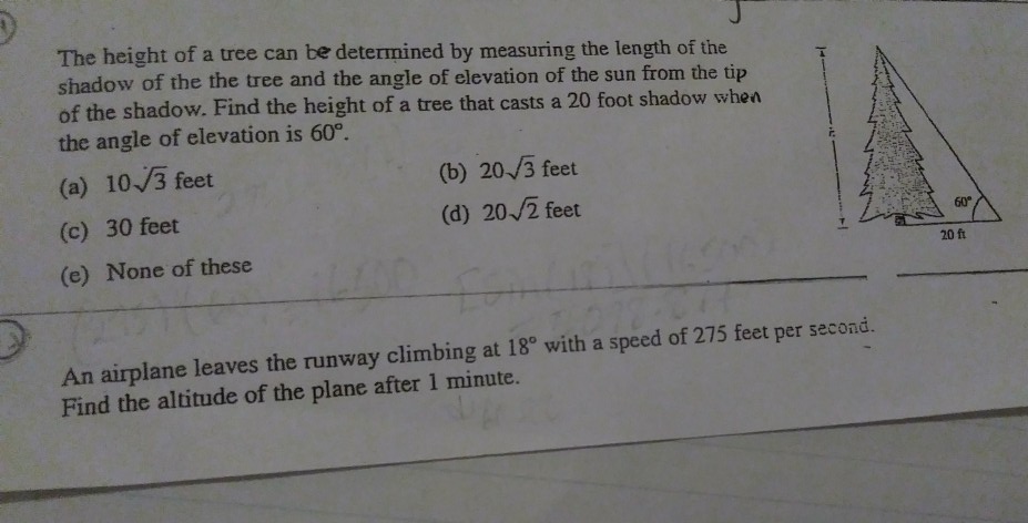 Solved The height of a tree can be determined by measuring | Chegg.com