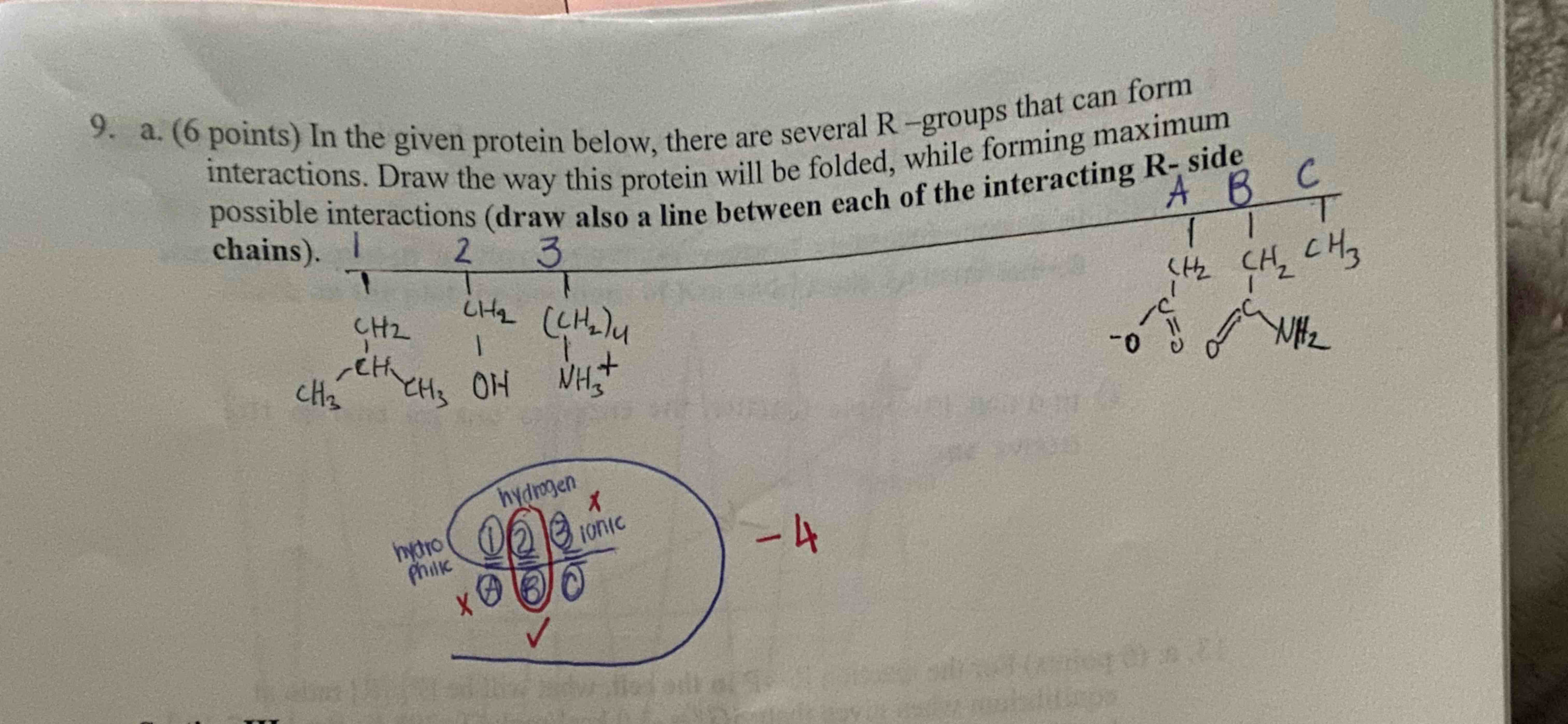 Solved 9. ﻿a. ( 6 ﻿points) ﻿In the given protein below, | Chegg.com
