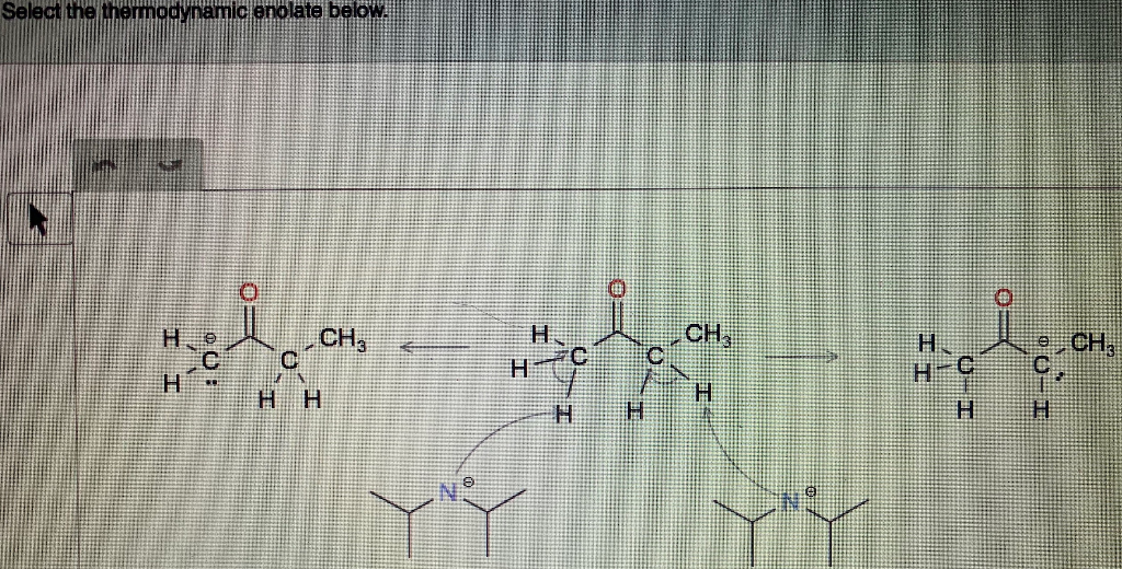 Solved Select the thermodynamic enolate below. Predict the | Chegg.com