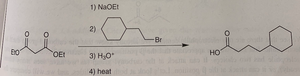 Solved 1) NaOEt 2) Br Eto OEt 3) H30+ HO 4) heat | Chegg.com