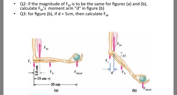 Solved Q2: if the magnitude of FM is to be the same for | Chegg.com
