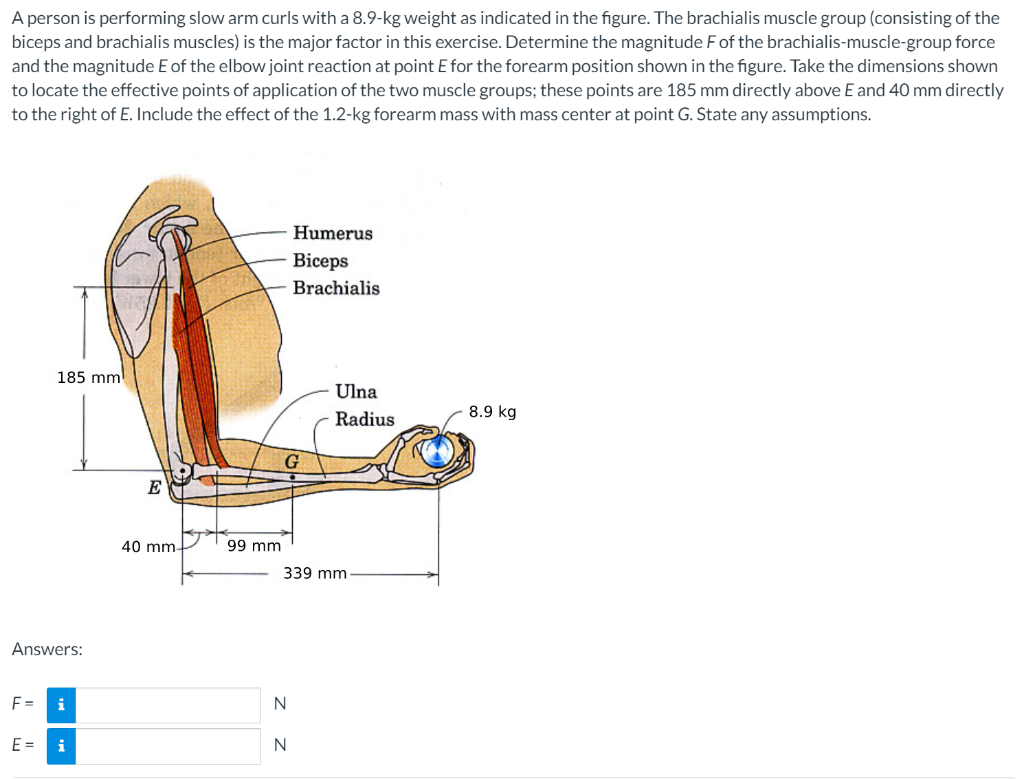 Solved A person is performing slow arm curls with a 8.9-kg | Chegg.com