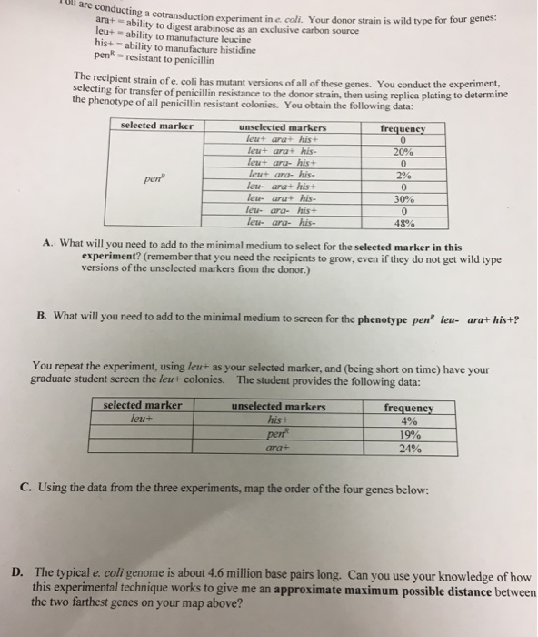 a cotransduction experiment in e coli. Your donor | Chegg.com
