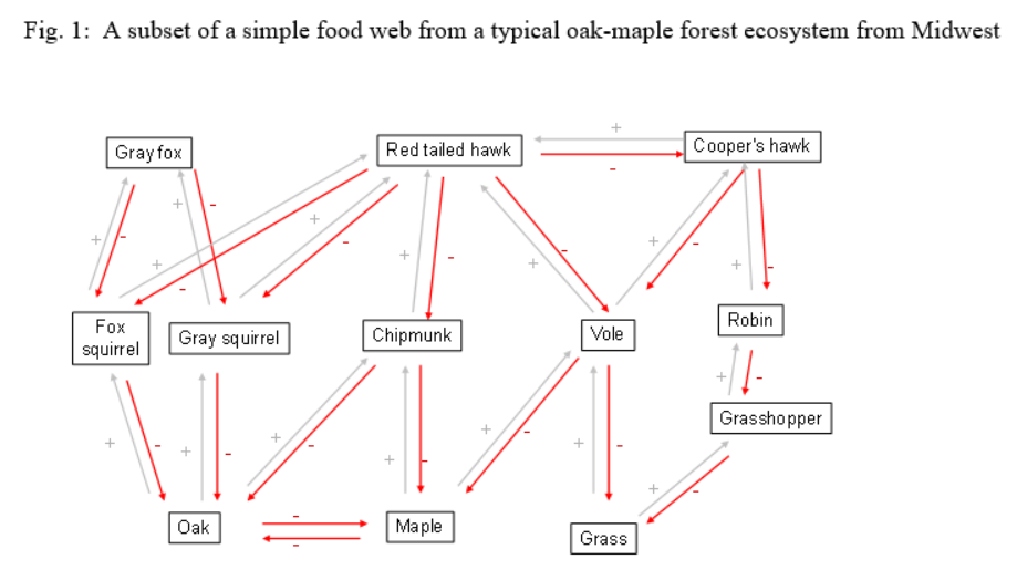 Fig. 1: A subset of a simple food web from a typical | Chegg.com