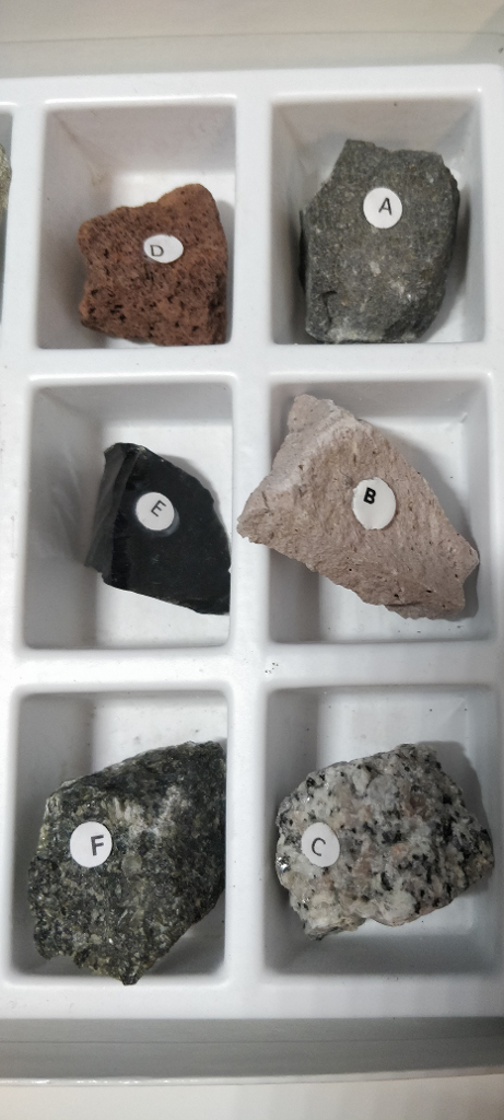 Solved (Earth Science) Igneous Rocks Identification | Chegg.com