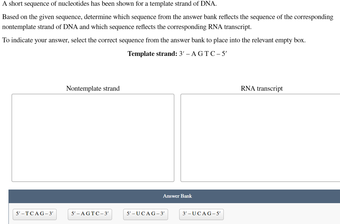 Solved A short sequence of nucleotides has been shown for a | Chegg.com