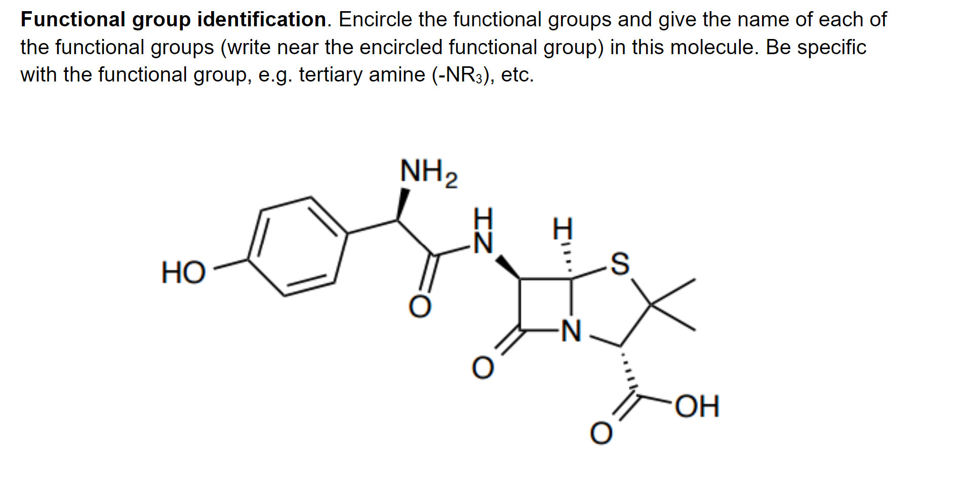 Solved Functional group identification. Encircle the | Chegg.com