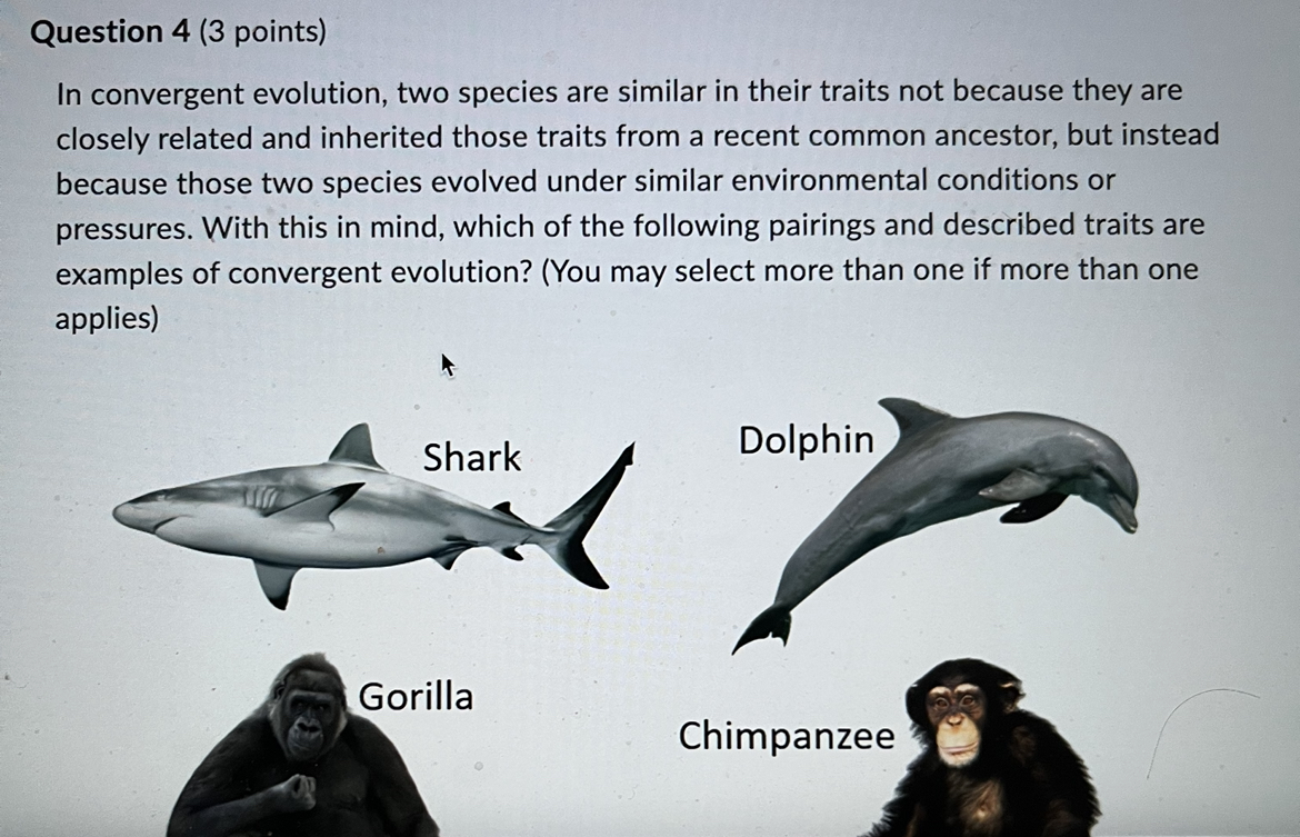 Solved In convergent evolution, two species are similar in | Chegg.com