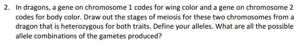 Solved 2. In dragons, a gene on chromosome 1 codes for wing | Chegg.com