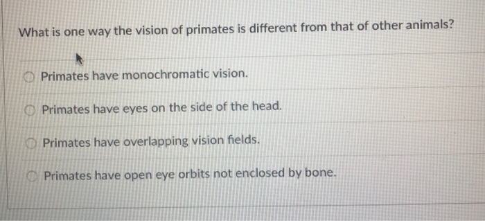 Solved What is one way the vision of primates is different | Chegg.com