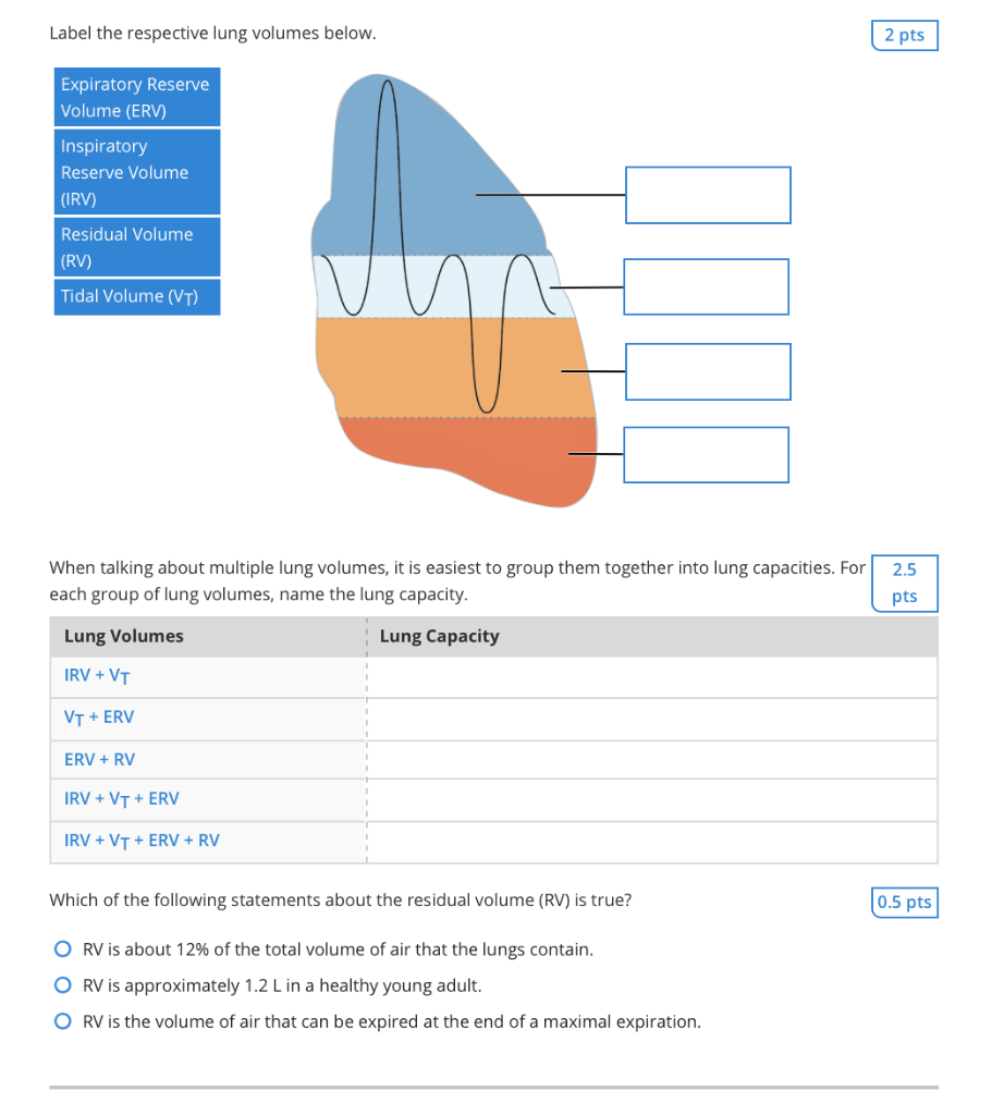 Solved: Label The Respective Lung Volumes Below. 2 Pts Exp... | Chegg.com