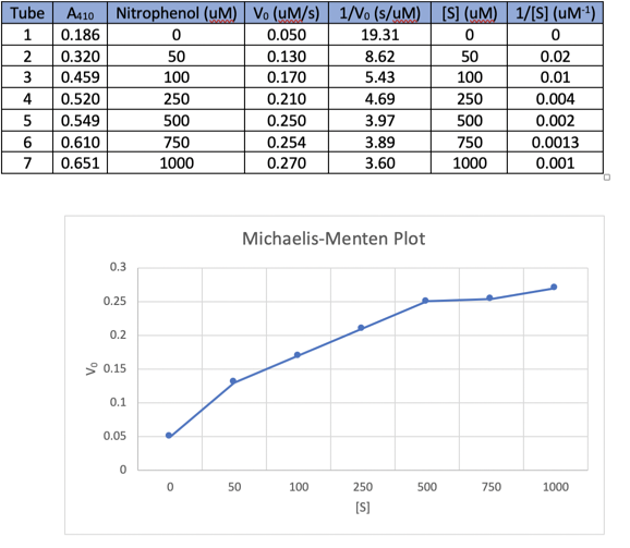 Solved From the Michaelis Menten plot, estimate the Km and | Chegg.com