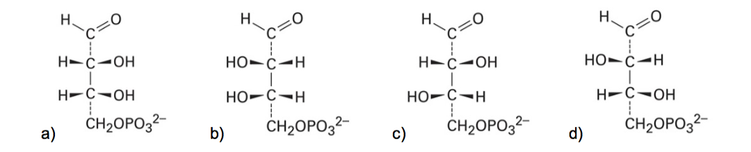 Solved Consider the compound: D-erythrose-4-phosphate | Chegg.com
