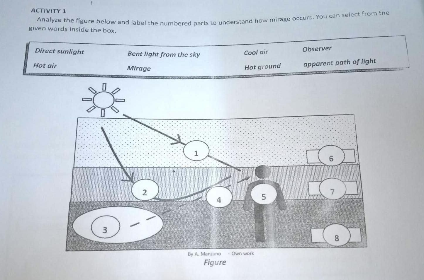 Solved ACTIVITY2 Analyze and study Figure 5 and Toble 1 . | Chegg.com