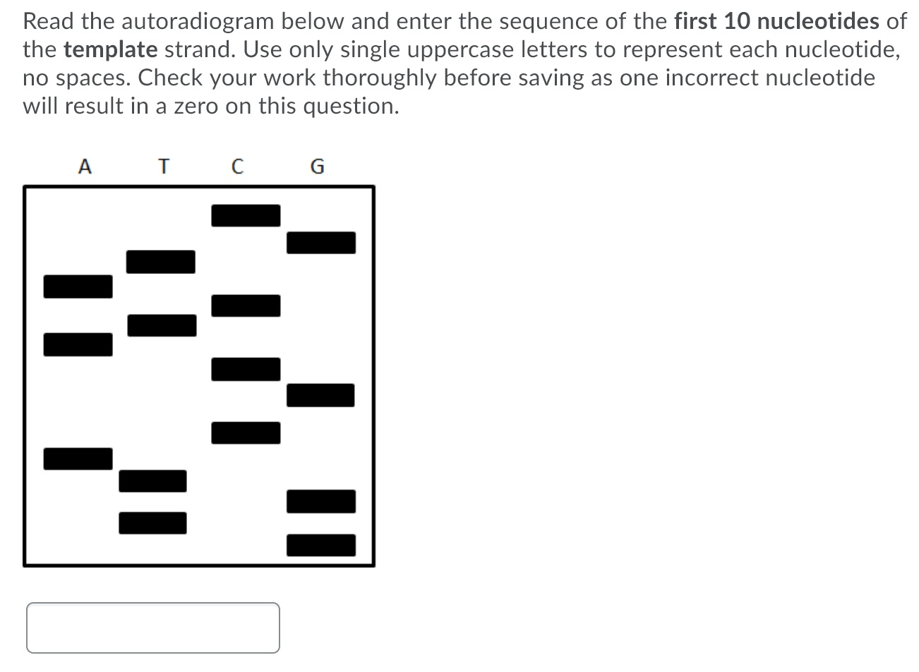 Solved Read the autoradiogram below and enter the sequence | Chegg.com