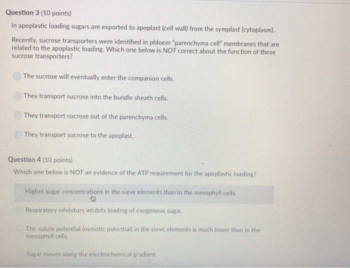 Solved Question 3 (10 points) In apoplastic loading sugars | Chegg.com