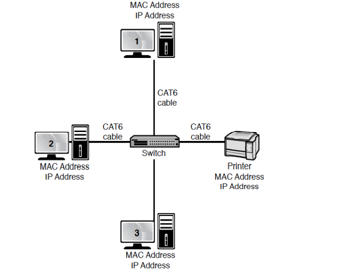 Networking project The Star Geek Café is a new coffee | Chegg.com