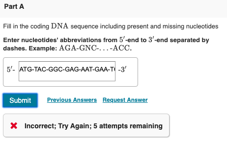 Solved Fill in the missing nucleotides (so there are three | Chegg.com