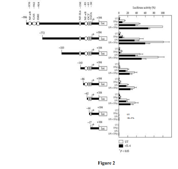 “SW” is a signature molecule involved in the | Chegg.com