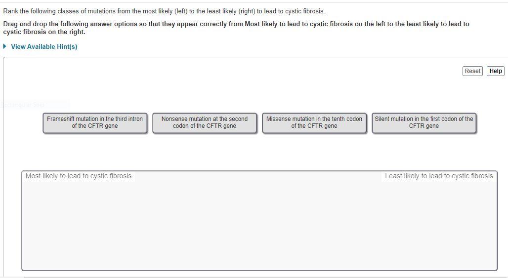 Solved Rank the following classes of mutations from the most | Chegg.com
