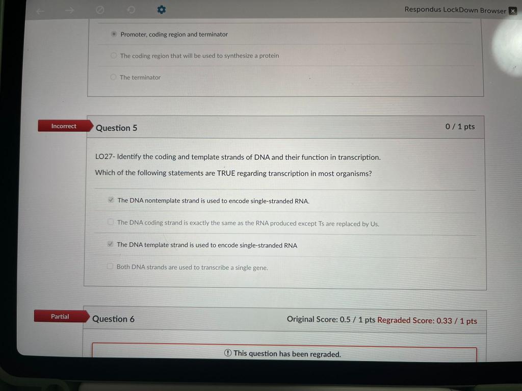 Solved Promoter, coding region and terminator The coding | Chegg.com
