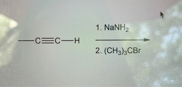 Solved 1. NaNH2 CECH 2. CH3CH2Br 1. NaNH2 2. (CH3)3CBr | Chegg.com