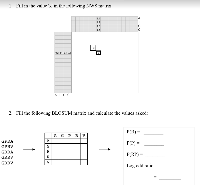 Solved Fill in the value ' x ' in the following NWS matrix: | Chegg.com