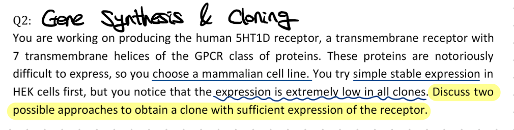 Solved Q2: Gene Synthesis \\& Cloning You are working on | Chegg.com