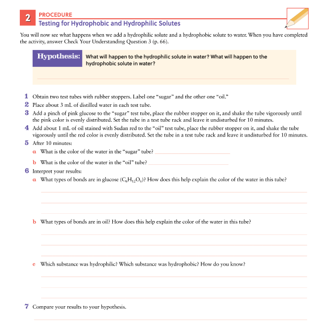 Solved PROCEDURE Testing for Hydrophobic and Hydrophilic | Chegg.com