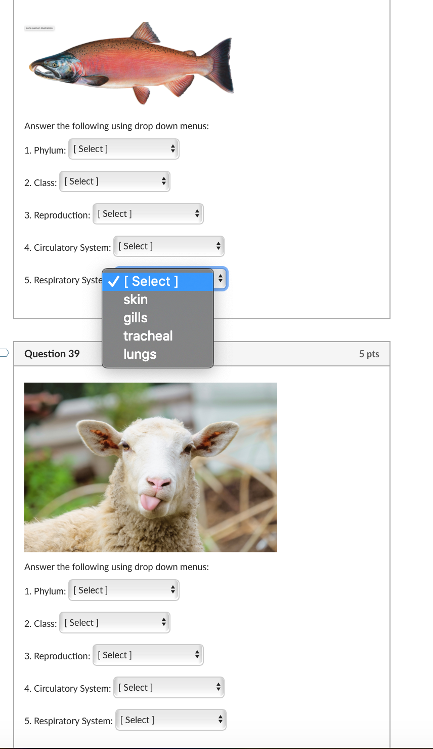 Solved Answer the following using drop down menus: 1. | Chegg.com