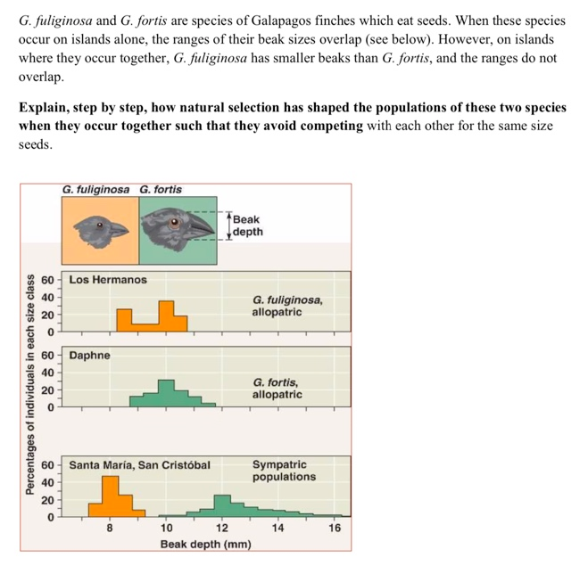 Solved G. fuliginosa and G. fortis are species of Galapagos | Chegg.com