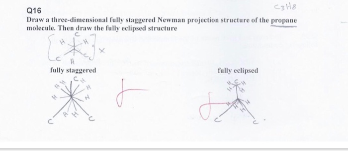 Solved c3H8 Q16 Draw a three-dimensional fully staggered | Chegg.com