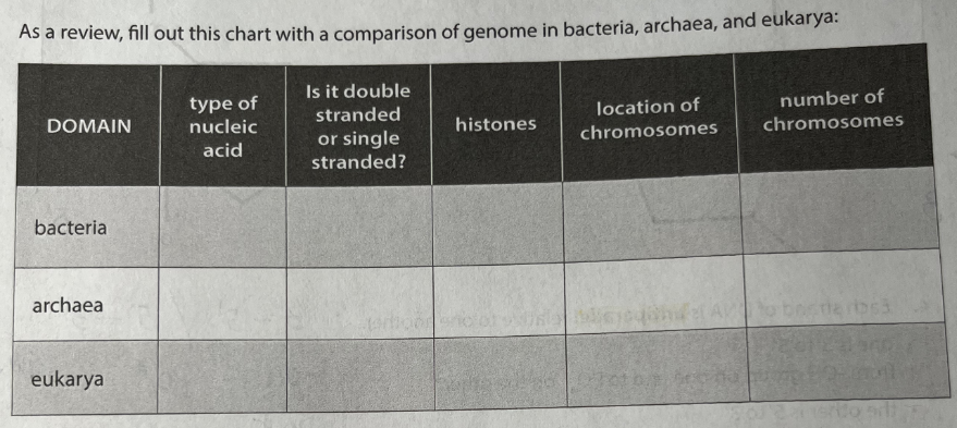 Solved As a review, fill out this chart with a comparison of | Chegg.com