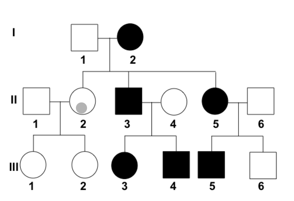 Solved What is the genotype of individual I-2?a.) | Chegg.com