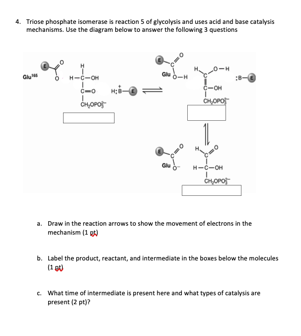 Solved Triose phosphate isomerase is reaction 5 ﻿of | Chegg.com
